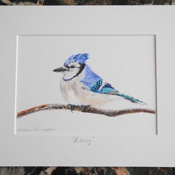 Blue Jay Art - Etsy