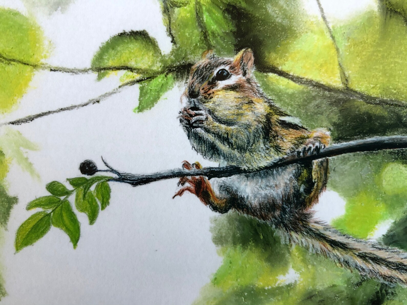 Cute Chipmunk Print Chippy Art Woodland Critter Art Forest - Etsy