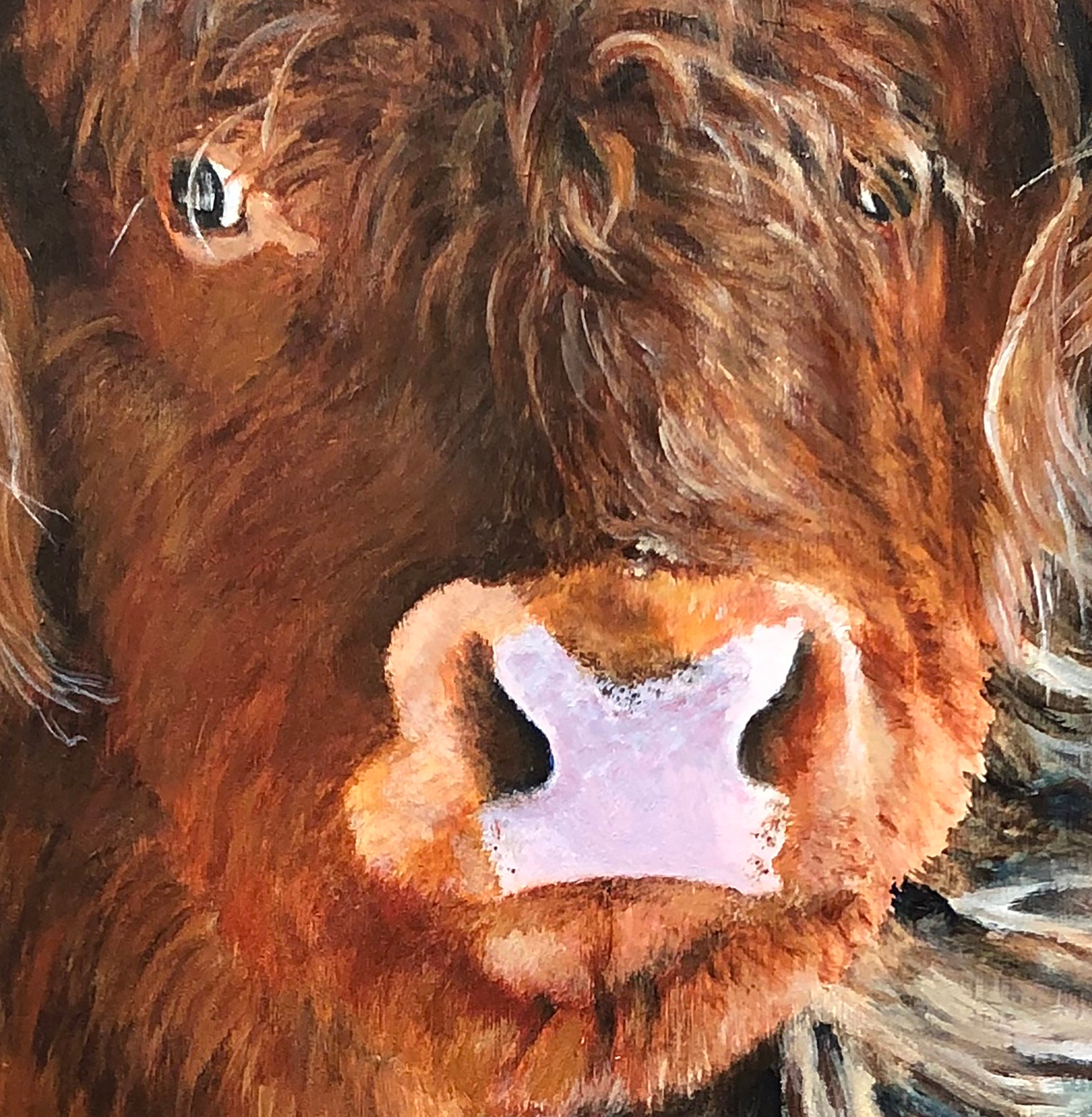 Hyland cows print cute cow art farm themed art country - Etsy.de