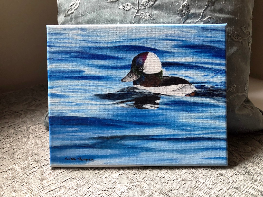 Bufflehead Duck Acrylic Painting, Waterfowl Art, Nautical Art, Cute ...