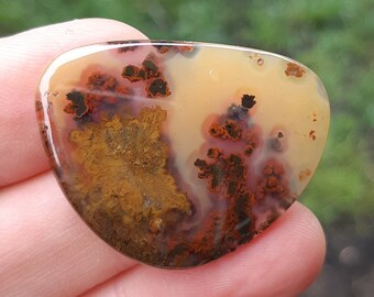 Woodward Ranch - Etsy