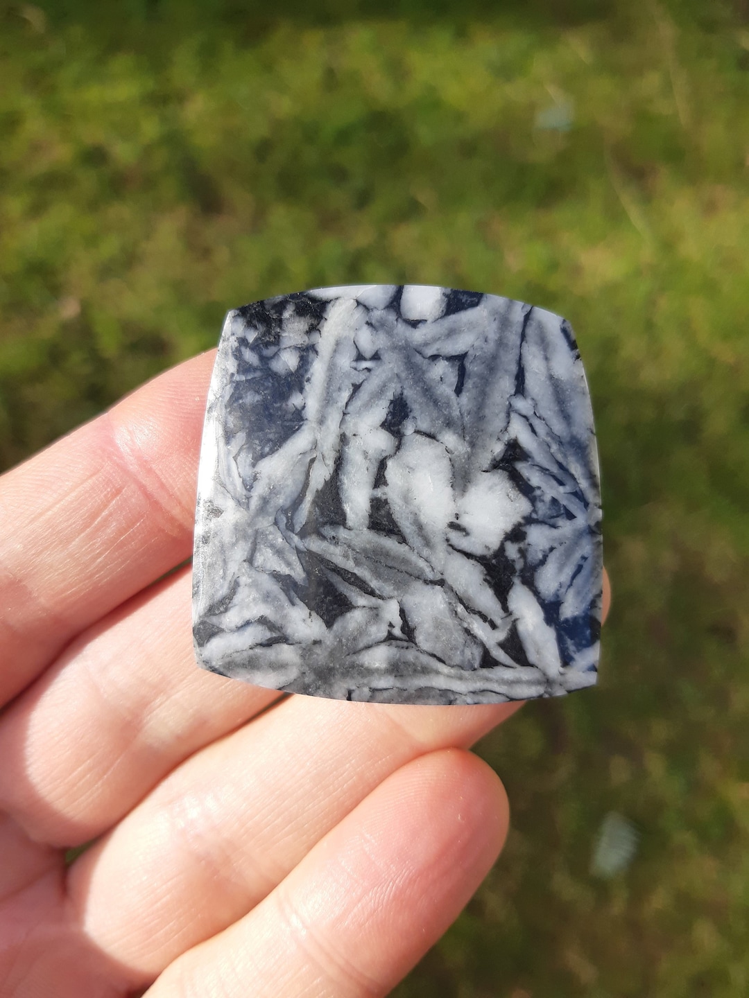 Pinolith Cabochon, Black and White Polished Stone, Golden, British ...