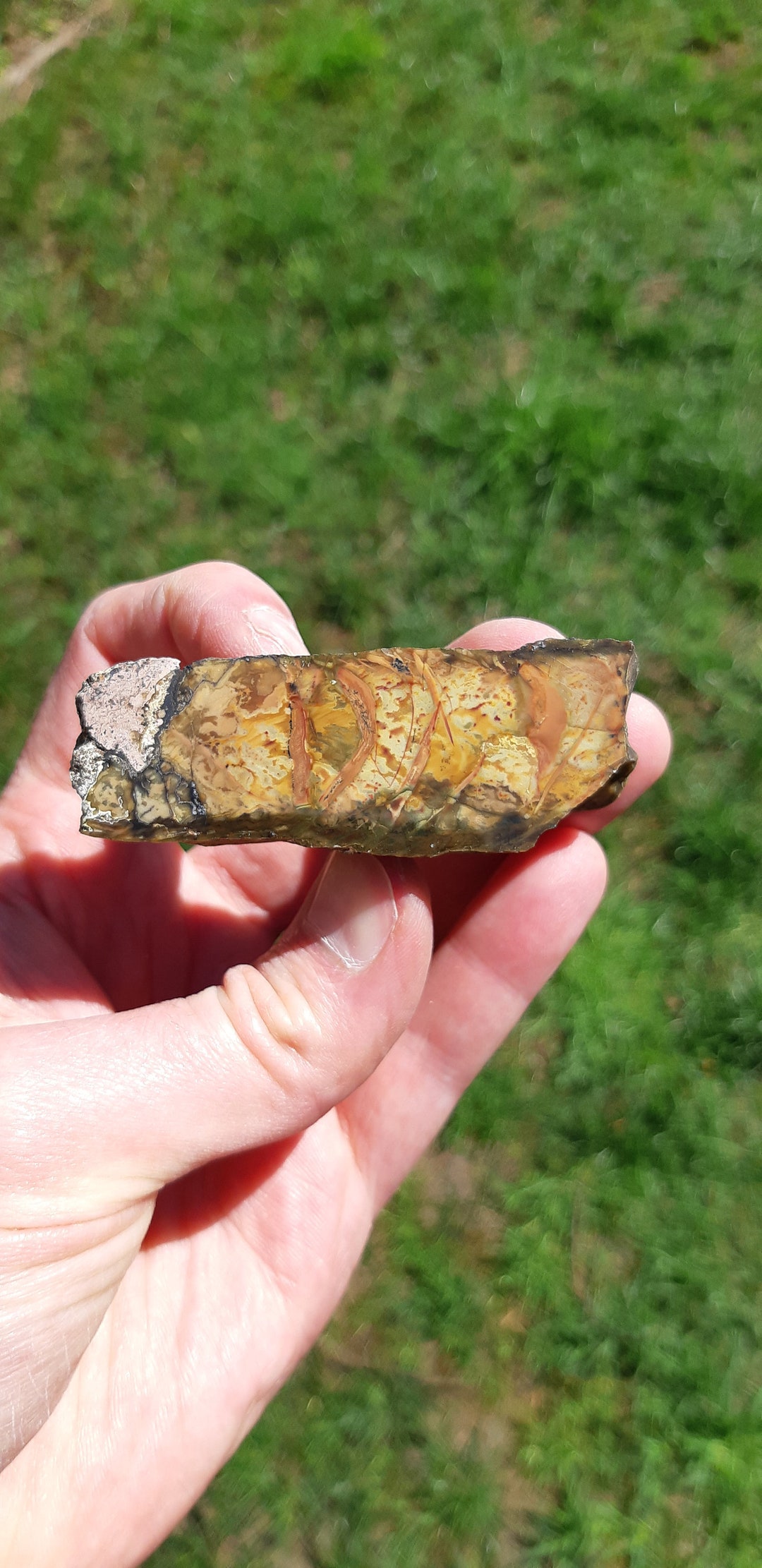 Golden Morrisonite Jasper Polished Specimen, Faced Rough, Healing ...