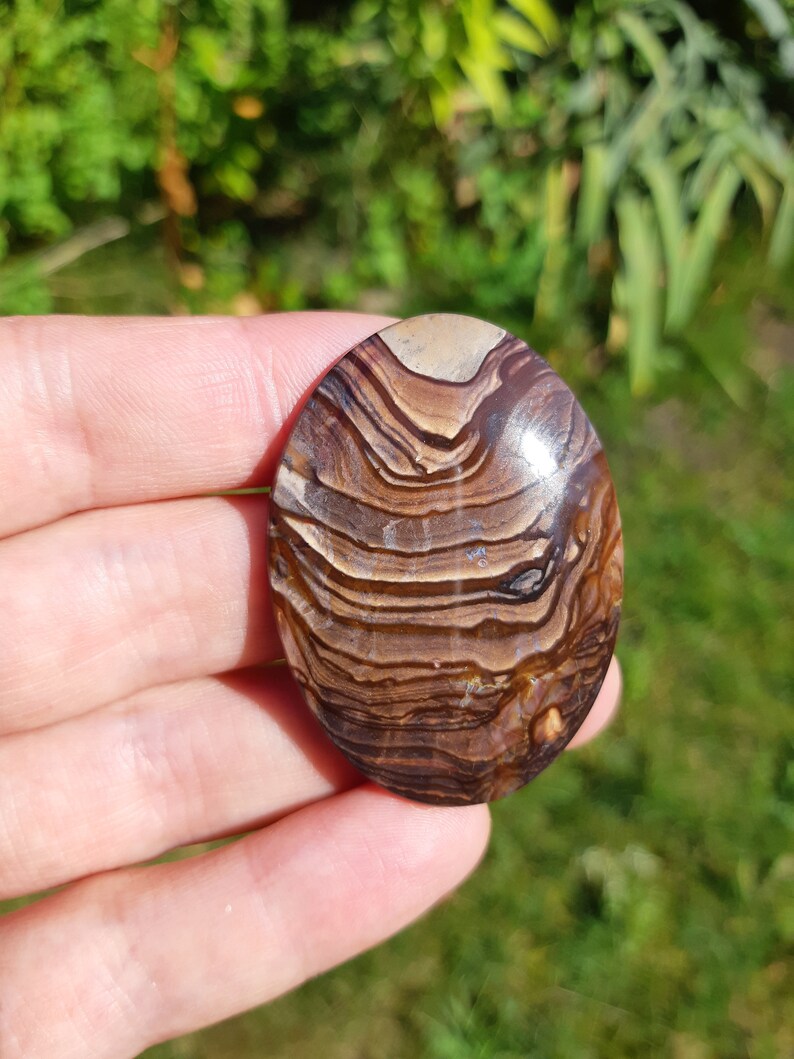 Picture Jasper Cabochon, Landscape Jasper, Biggs Jasper From Oregon ...