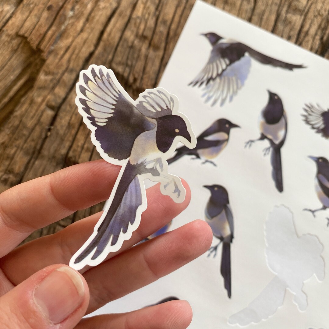 Magpie - Sticker Sheet - Etsy