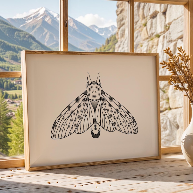 Leopard Moth - Etsy