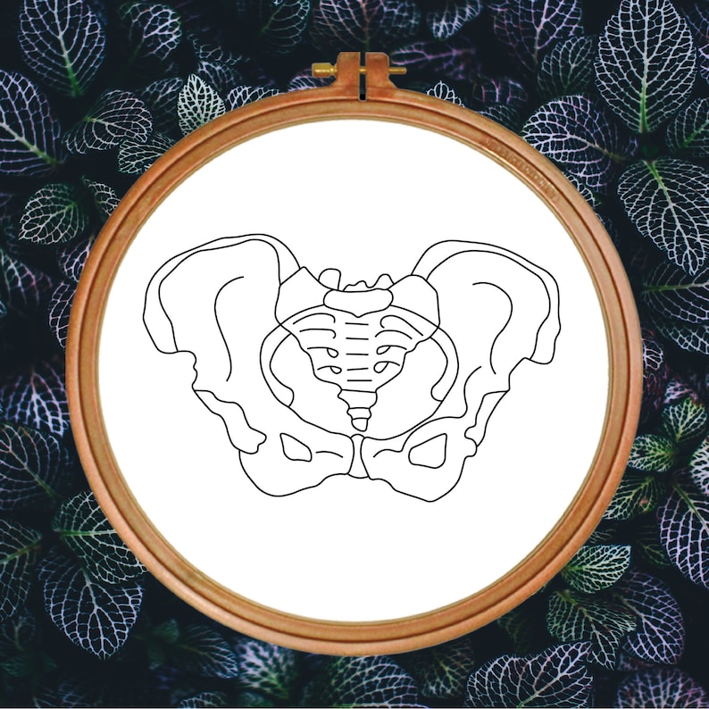 Skeleton Hips Hand Embroidery Pattern Bones Biology - Etsy