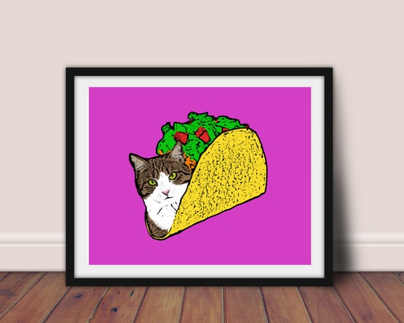 Taco Cat Meme