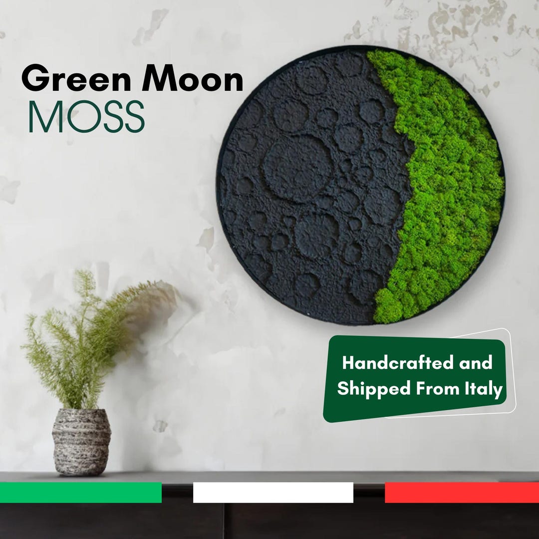 Moon and Moss Wall Art – 40cm Round Preserved Moss Decor | Lunar ...