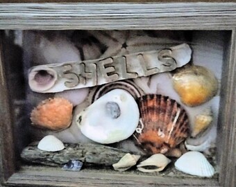 Jingle Shells Shadow Box Art. - Etsy