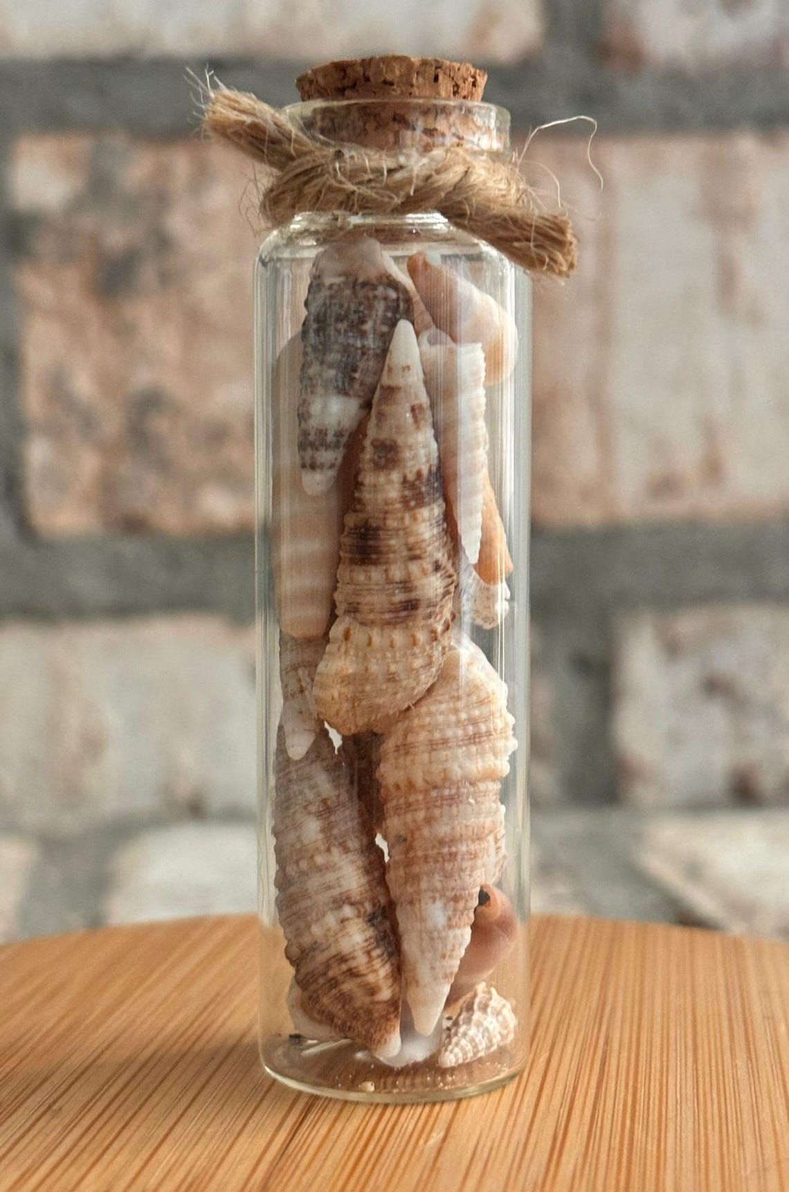 Mini Shell and Sea Glass Bottles - Etsy