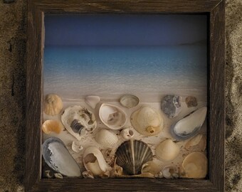 Sea Shell Shadow Box - Etsy