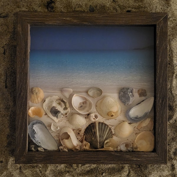 Shell Shadow Box - Etsy