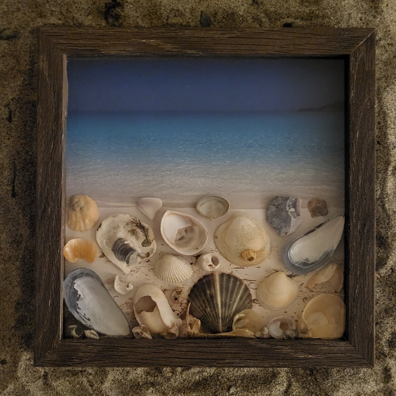 Shell Shadow Box - Etsy