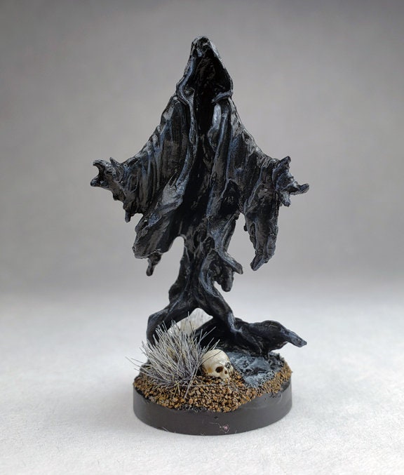 Death Shroud / Painted Reaper bones miniature / DnD Pathfinder | Etsy