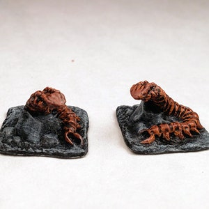 Giant Spider Centipede and Scorpion / Painted Reaper Bones Miniature ...