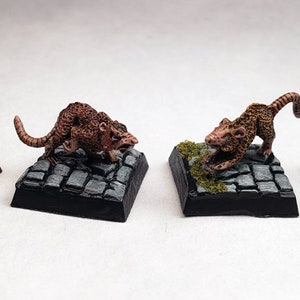 Giant Dire Rats Vermin / Painted Metal Miniature / Citadel Dnd ...