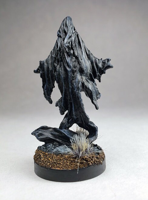 Death Shroud / Painted Reaper bones miniature / DnD Pathfinder | Etsy