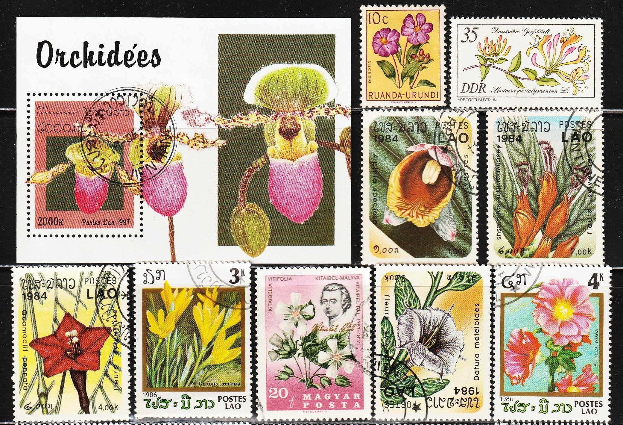 FLOWERS 23 Postage Stamps 1 Souvenir Sheet Orchids Flowering Plants ...