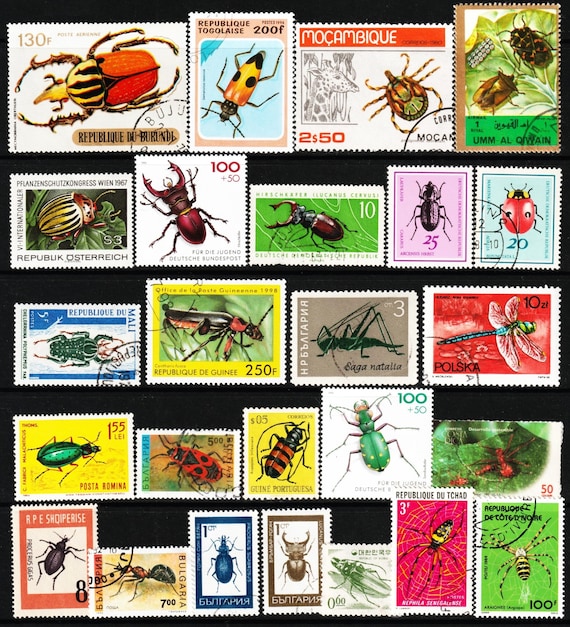 Disney Goofy Flying Bugs