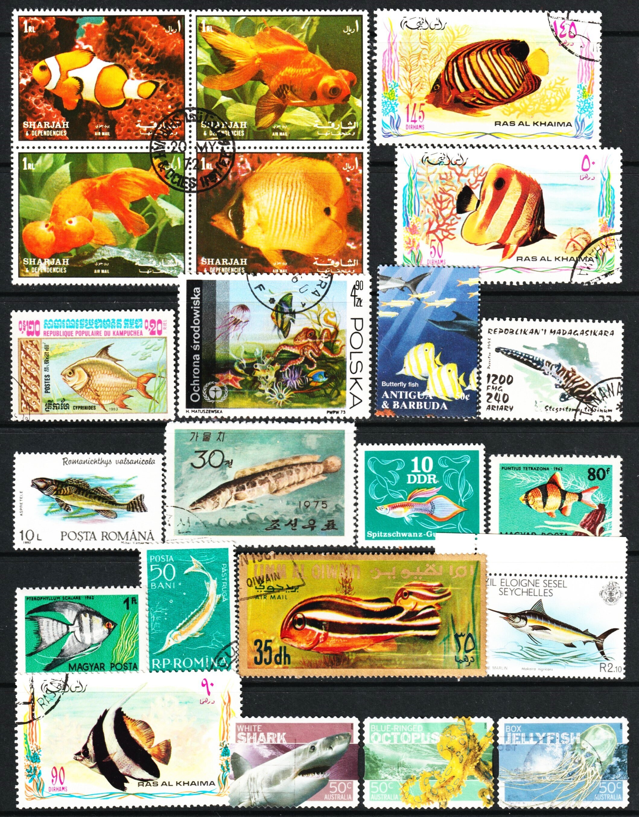 20 Colorful FISH Postage Stamps Ocean Marine Life - Etsy