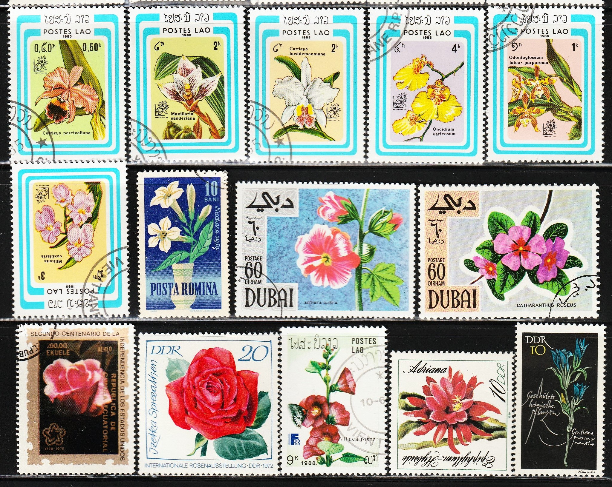 FLOWERS 23 Postage Stamps 1 Souvenir Sheet Orchids Flowering Plants ...