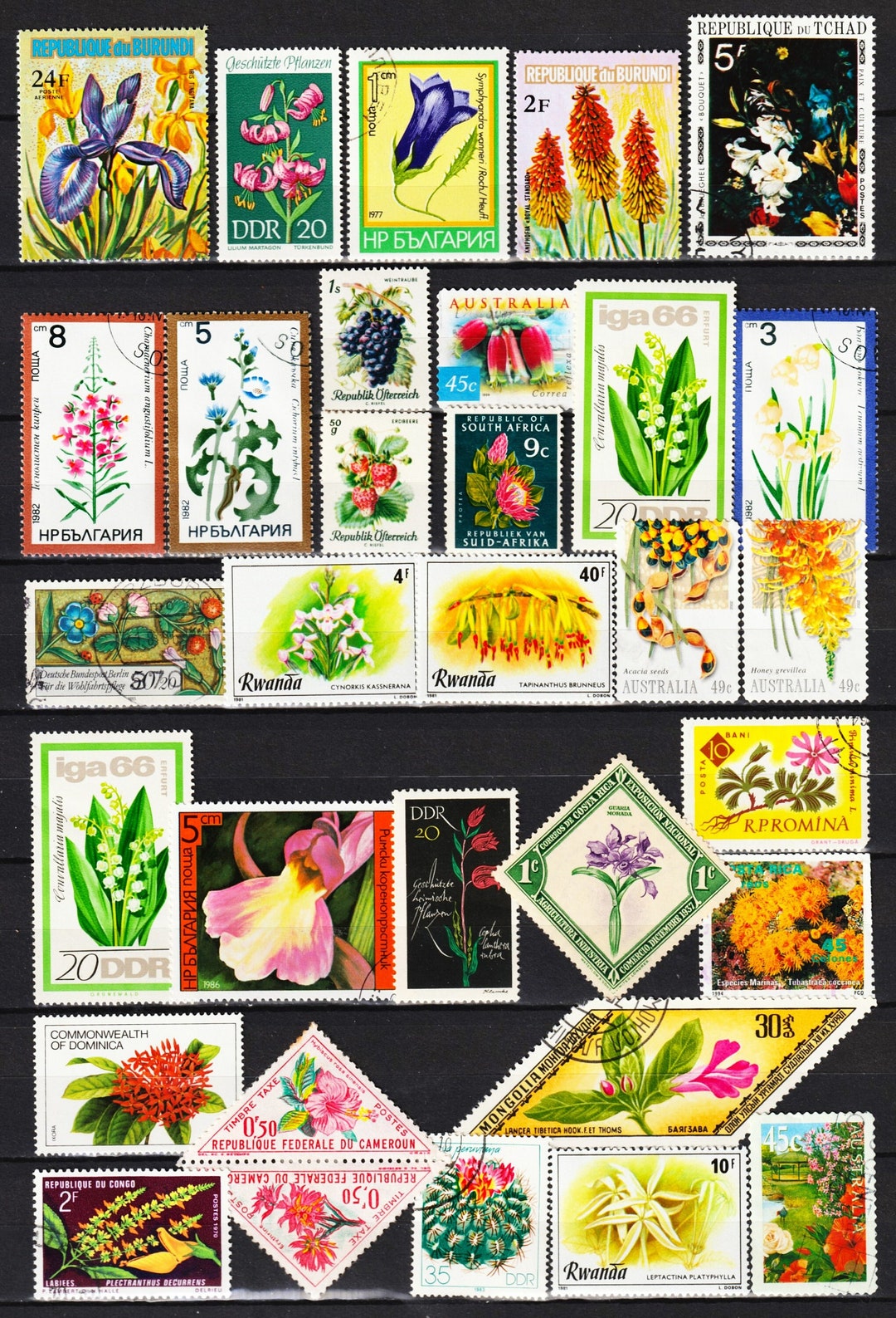 30 FLOWERING PLANTS Worldwide Flower Stamps Wildflowers Berries Botany ...