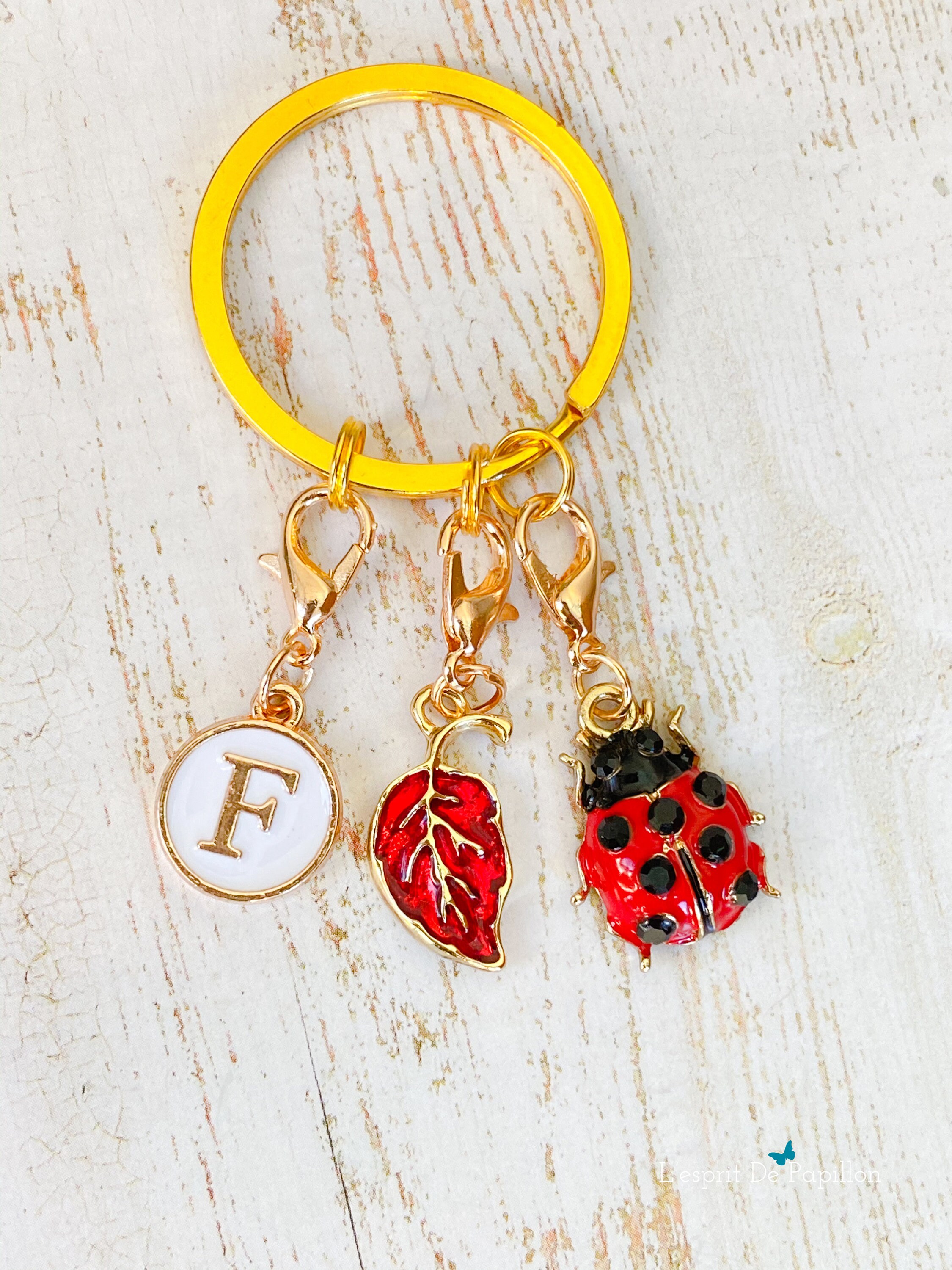 Ladybird Personalised ladybird Charm Keyring in a tin | Etsy