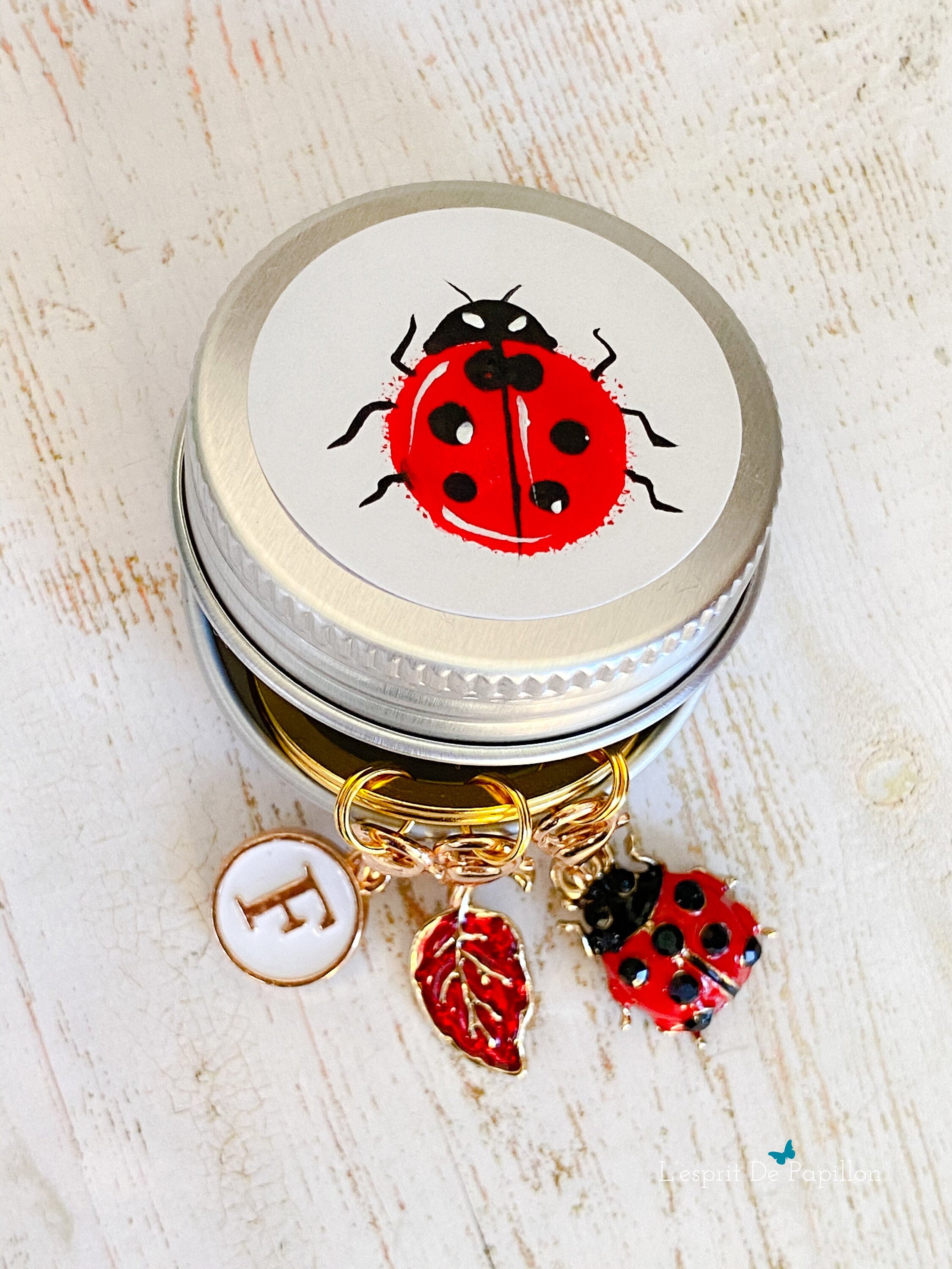 Ladybird Personalised Ladybird Charm Keyring in a Tin - Etsy