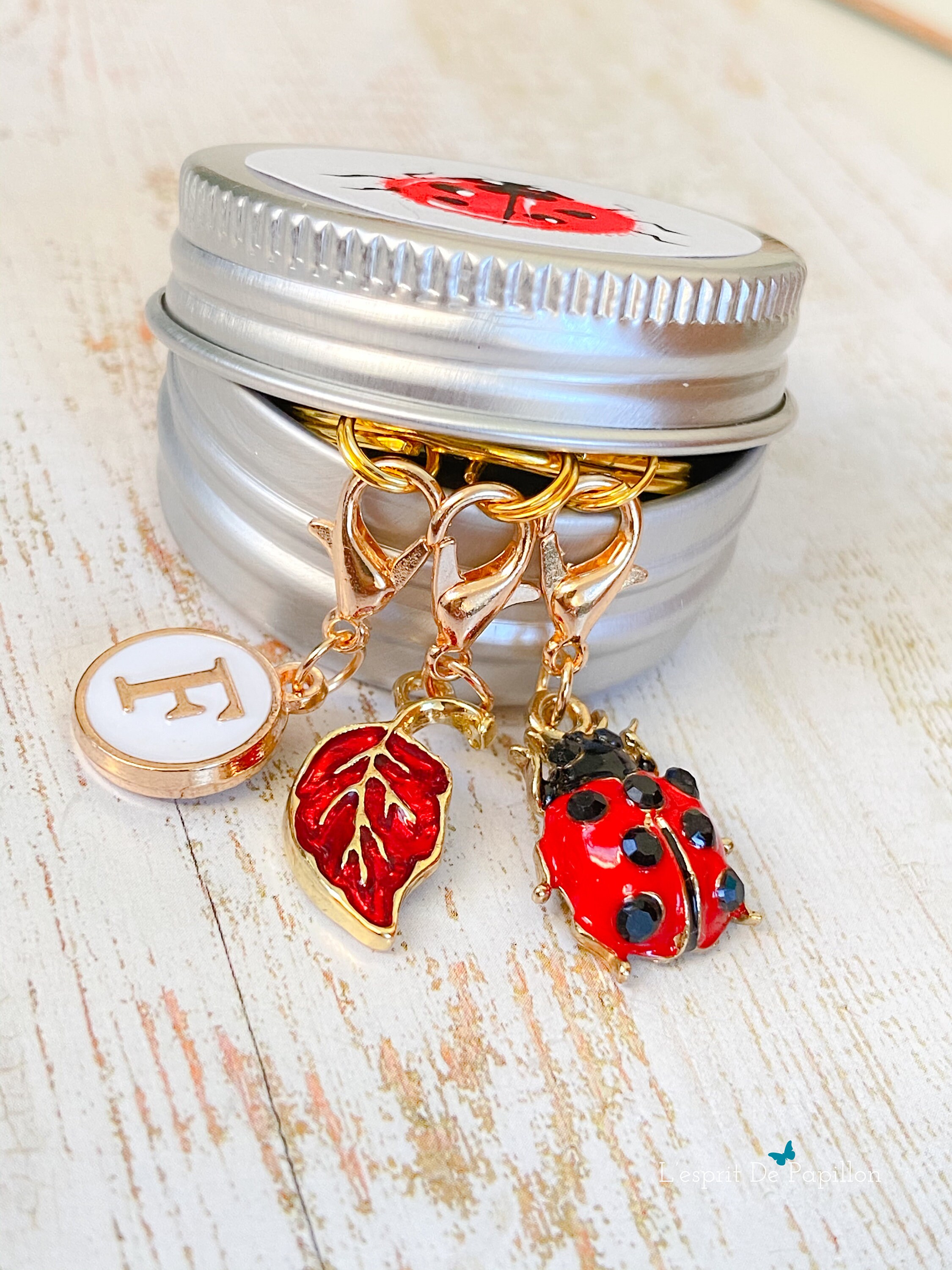 Ladybird Personalised ladybird Charm Keyring in a tin | Etsy