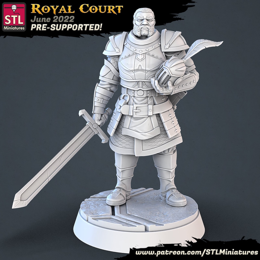 Royal Guard Guardian Knight Soldier / Pack Royal Court 28 32 75 Mm∞ ...