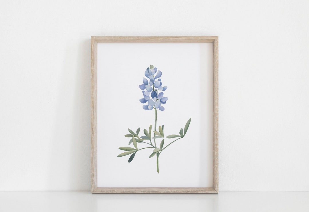 Watercolor Bluebonnet Flower Wall Art | Texas State Flower Painting ...