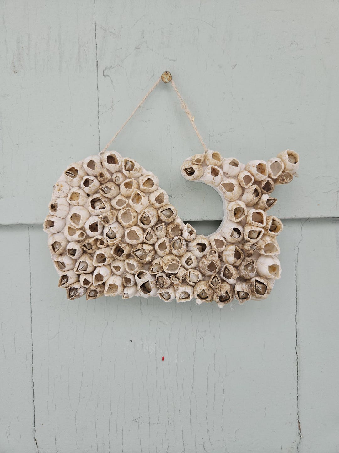Barnicle Whale - Etsy