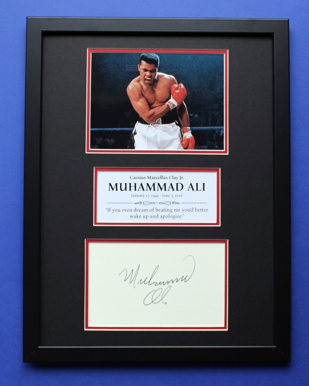 MUHAMMAD ALI AUTOGRAPH Framed Artistic Double Mat Display Rumble in the ...