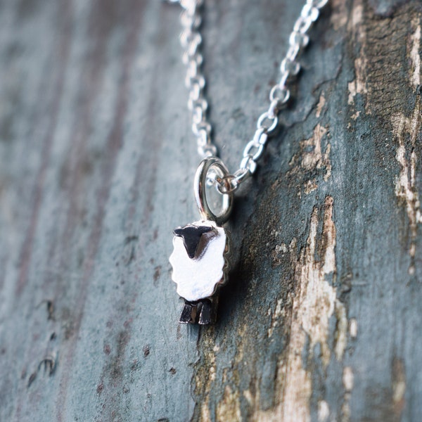 Sheep Gifts - 60+ Gift Ideas for 2024