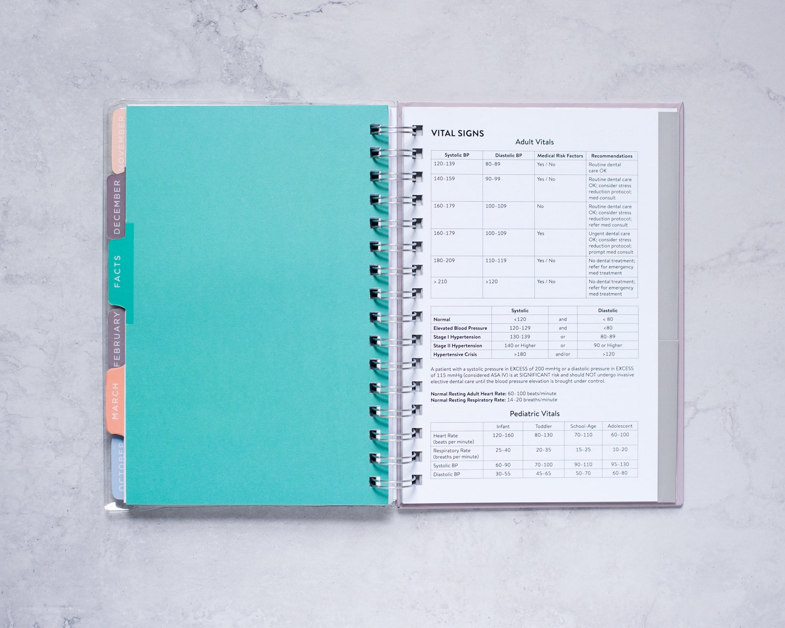 Lilac Planner Ruby Color Dental and Dental Hygiene Assistant Student ...