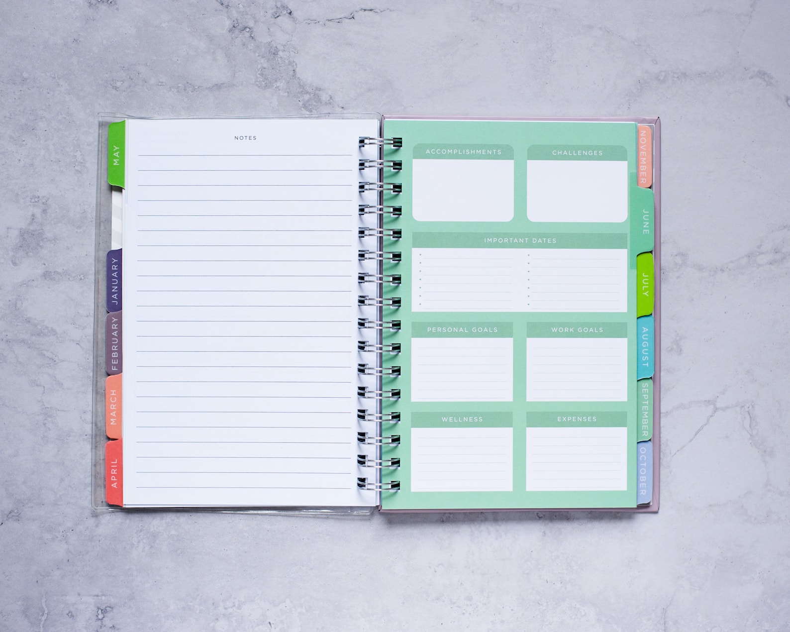 Lilac Planner Sebastian Color Dental and Dental Hygiene Student Planner ...