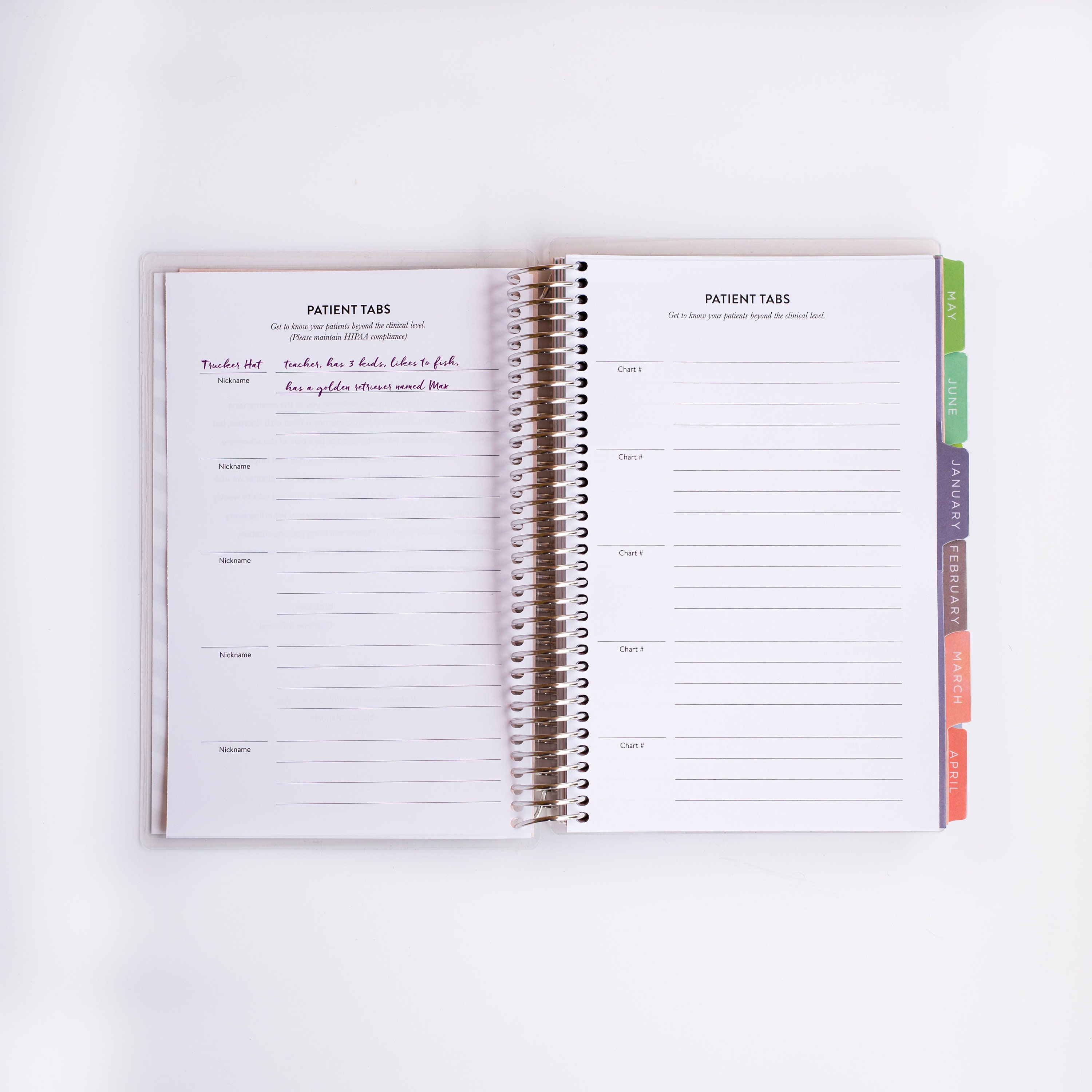 Lilac Planner Daydream Color Dental and Dental Hygiene - Etsy