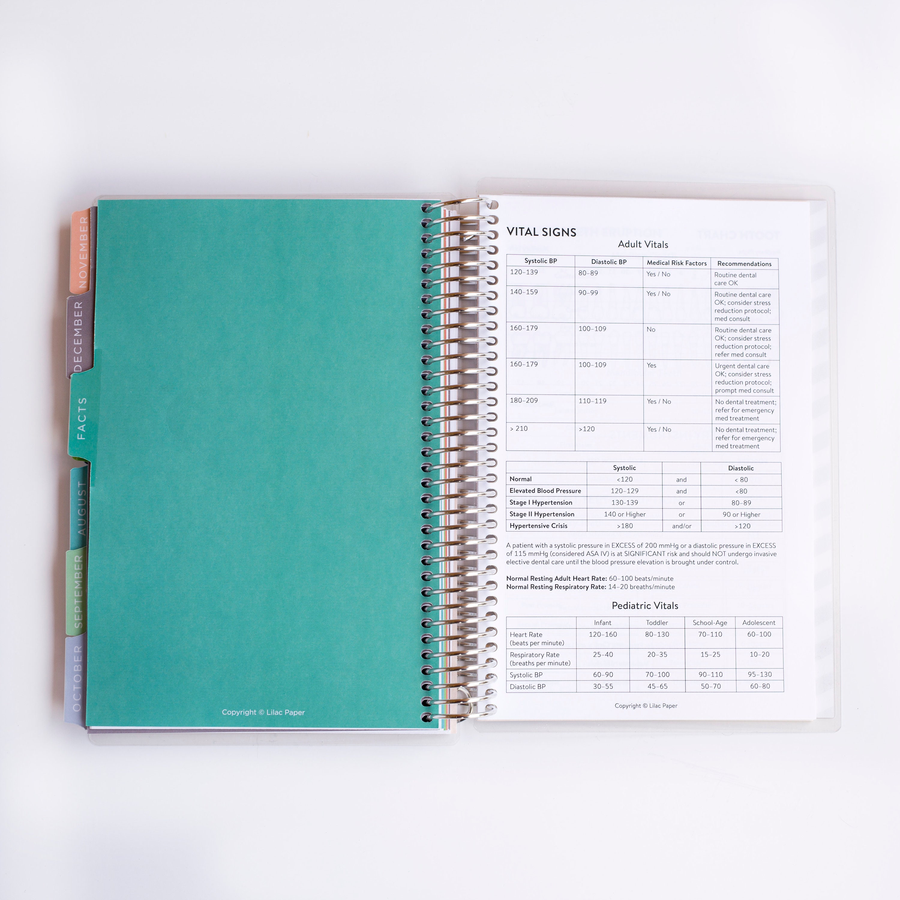 Lilac Planner Daydream Color Dental and Dental Hygiene - Etsy