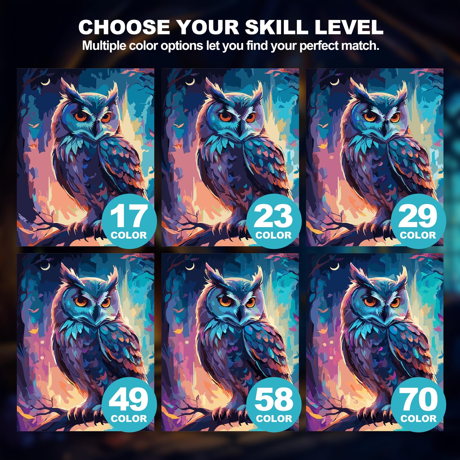 Color by Number Owl (6 Skill Levels): Paint by Numbers Printable ...