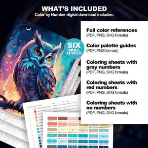 Color by Number Owl (6 Skill Levels): Paint by Numbers Printable ...