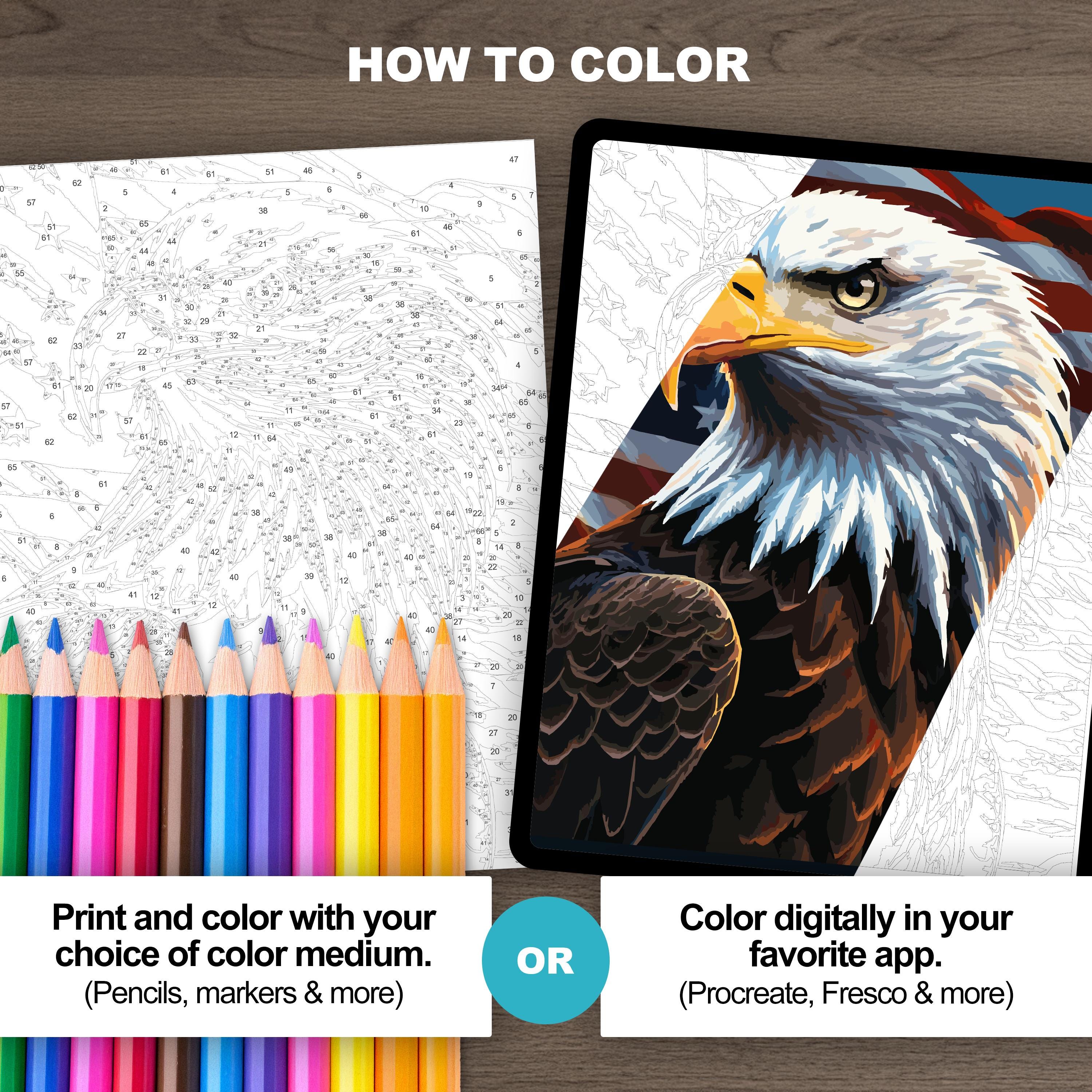 American Eagle Color by Number (6 Skill Levels): Patriotic Printable ...