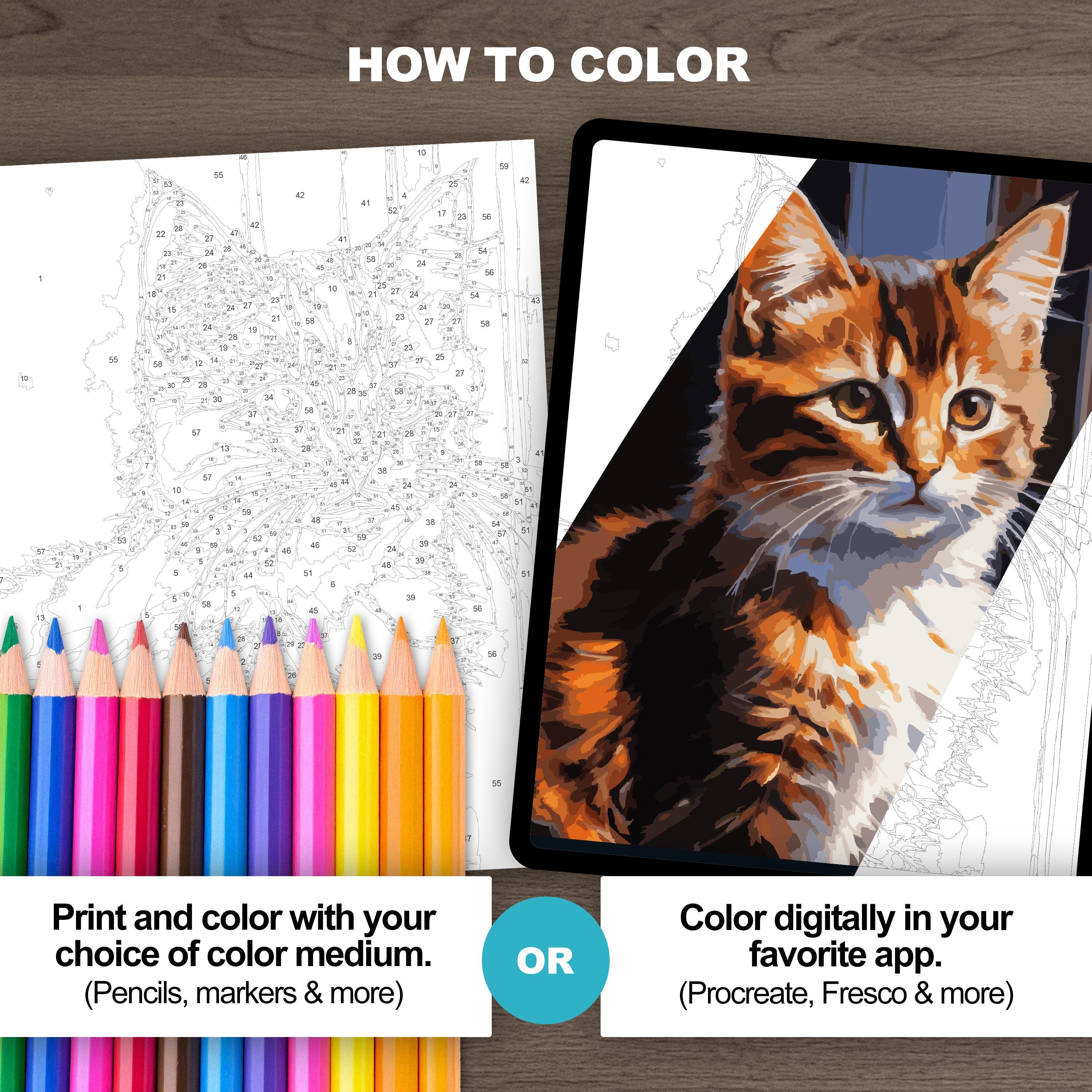 Color by Number Cat (6 Skill Levels): Paint by Numbers Printable Tabby ...
