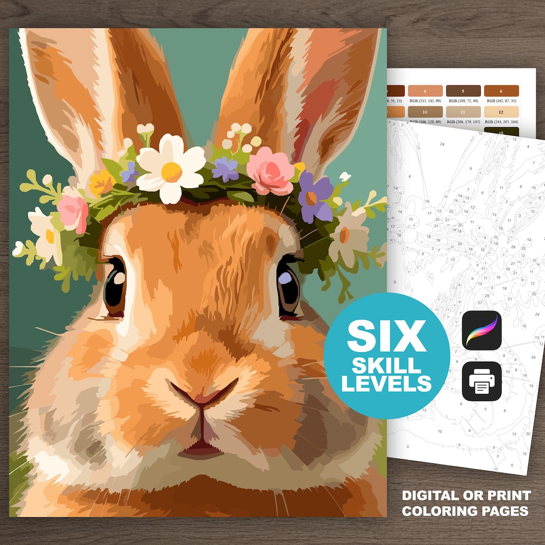 Floral Bunny Paint by Number Kit, Procreate and Printable Coloring ...