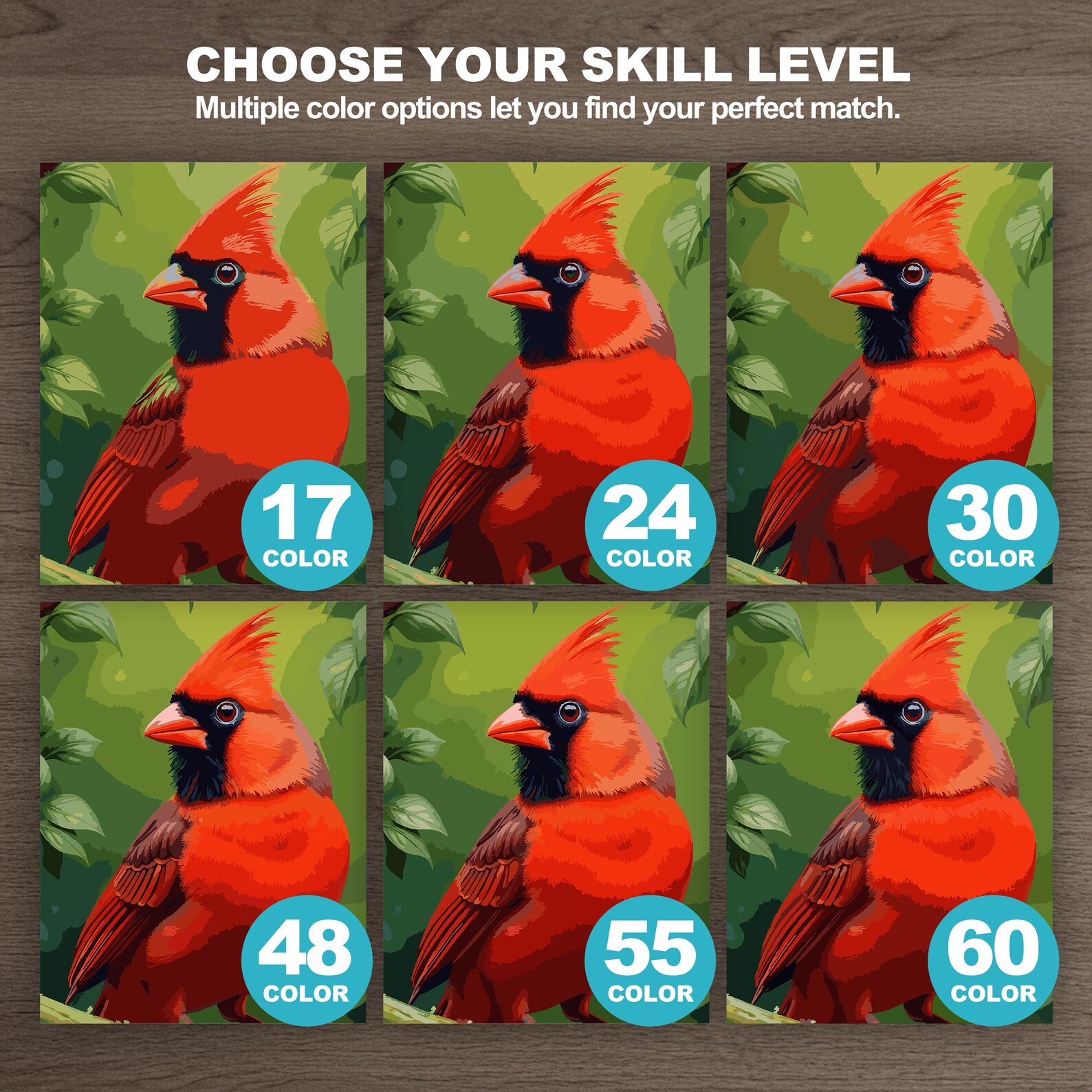 Color by Number Red Cardinal (6 Skill Levels): Paint by Numbers ...
