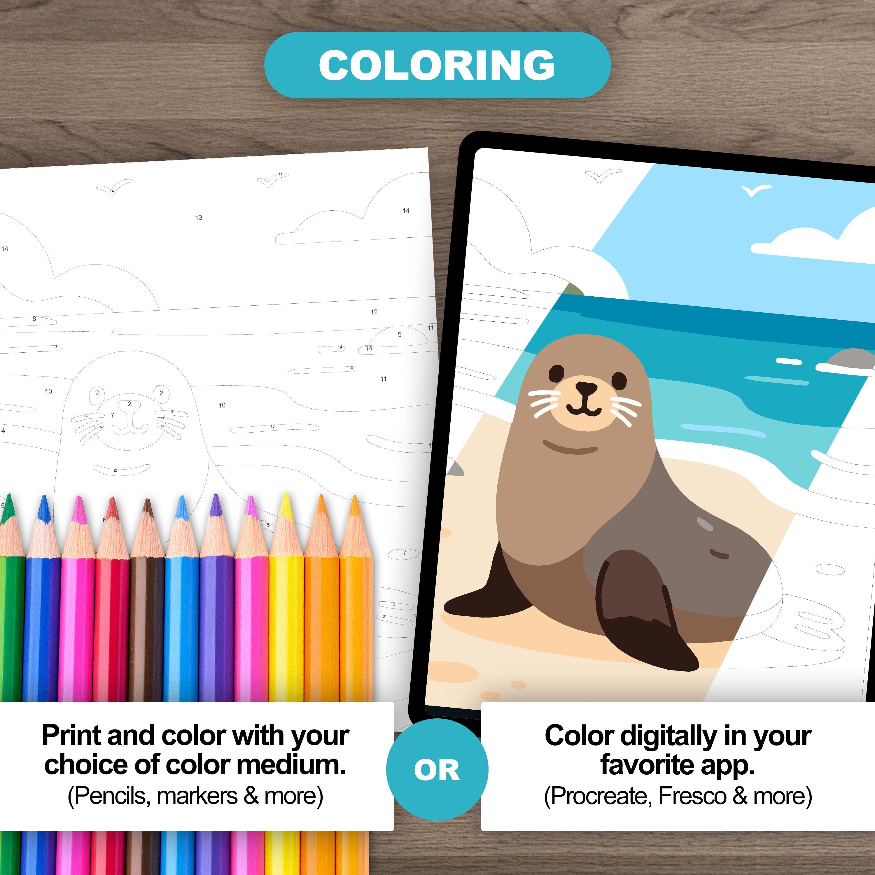 Easy Color by Number Animals Coloring Bundle: 40 Beginner Wildlife ...