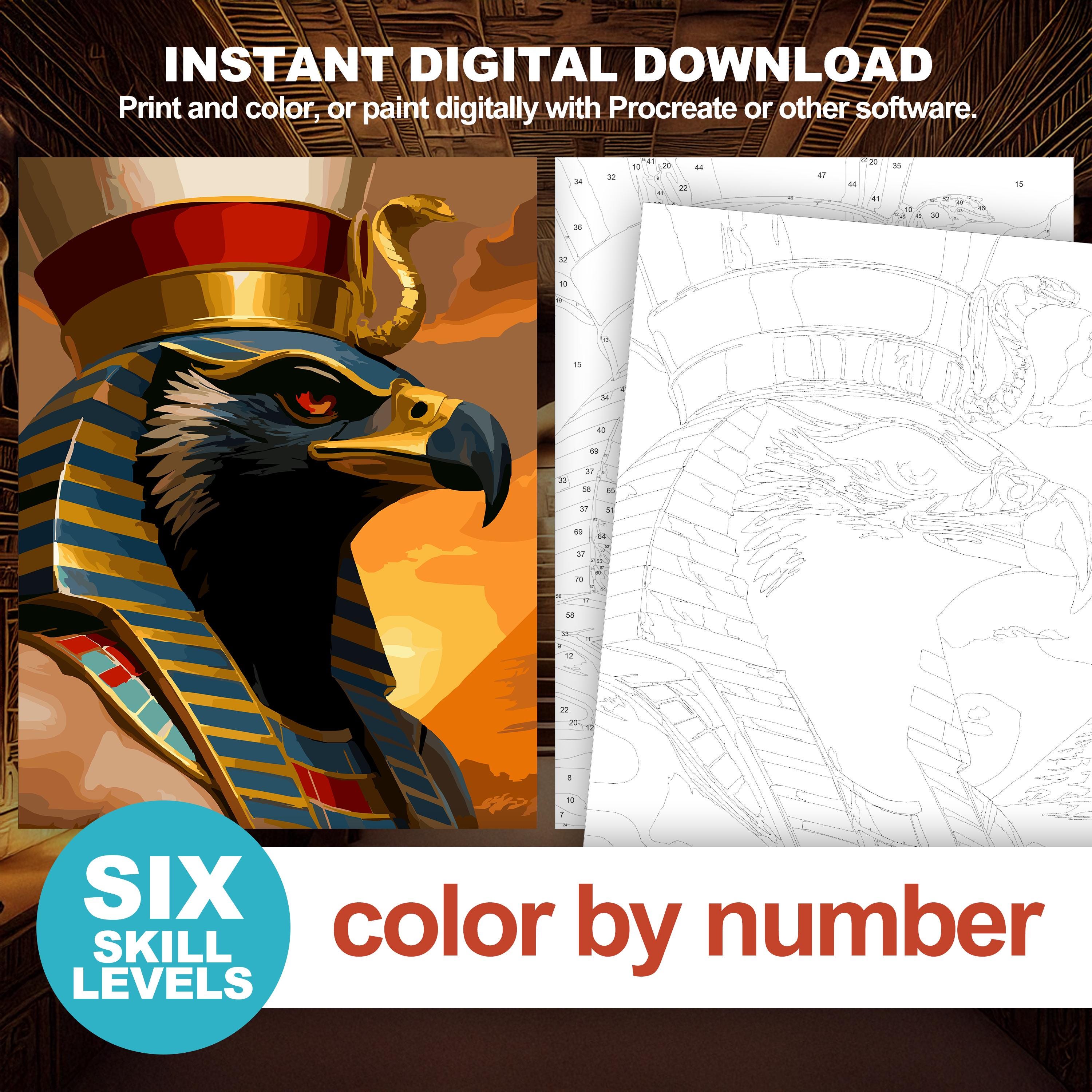 Egyptian God Horus, Color by Number: Ancient Egypt Procreate ...