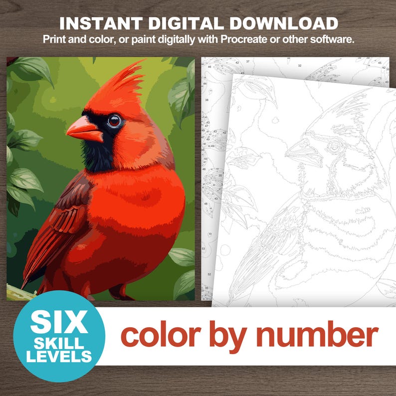 Color by Number Red Cardinal (6 Skill Levels): Paint by Numbers ...