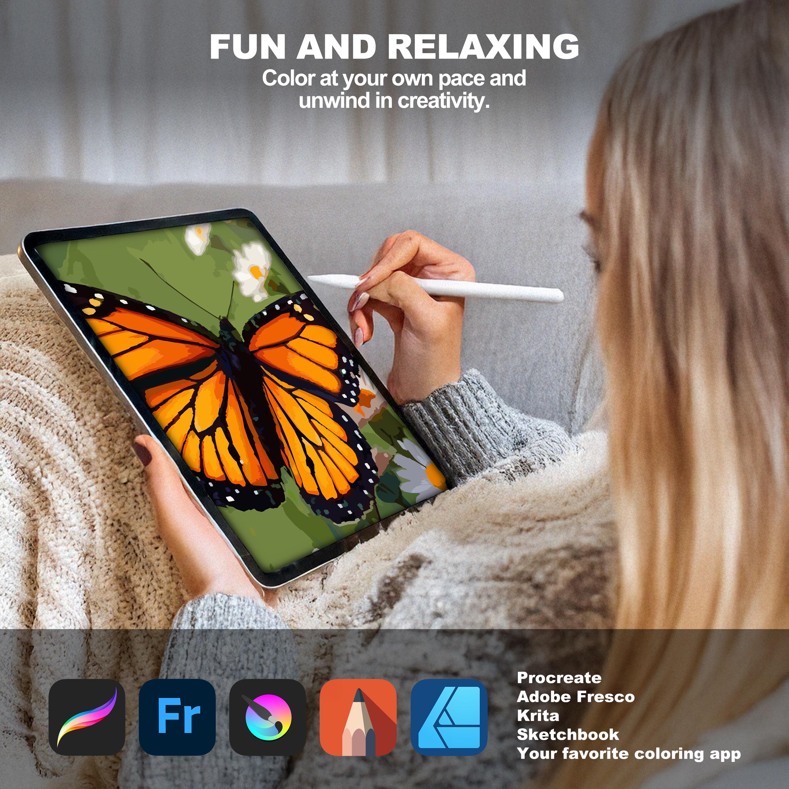 Color by Number Monarch Butterfly (6 Skill Levels): Paint by Numbers ...