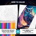 Color by Number Owl (6 Skill Levels): Paint by Numbers Printable ...